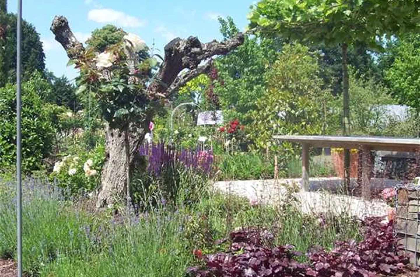 Becker Garten Und Landschaftsbau Gmbh